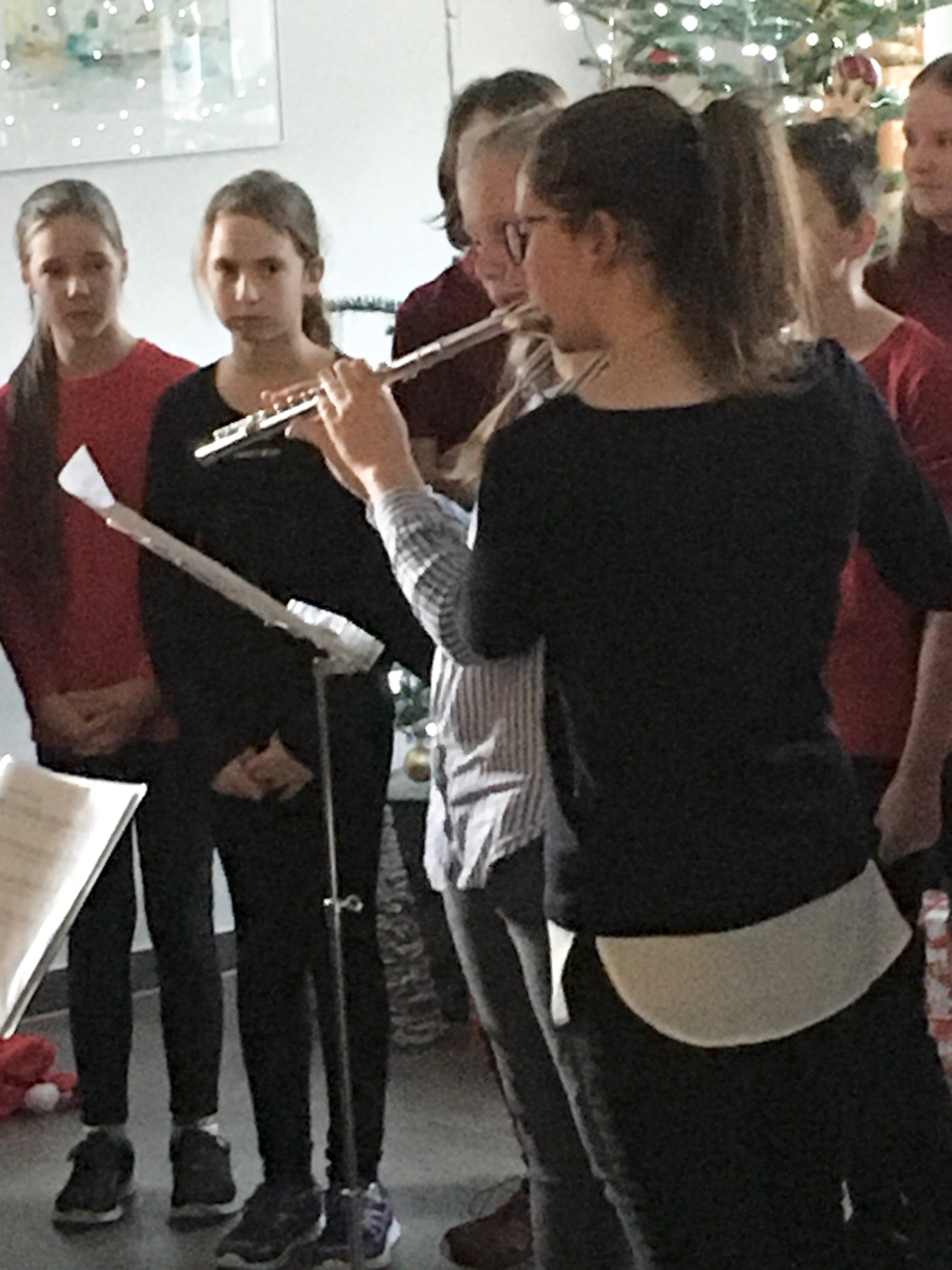 IMG_1695 – MS Friesach Hemmaland